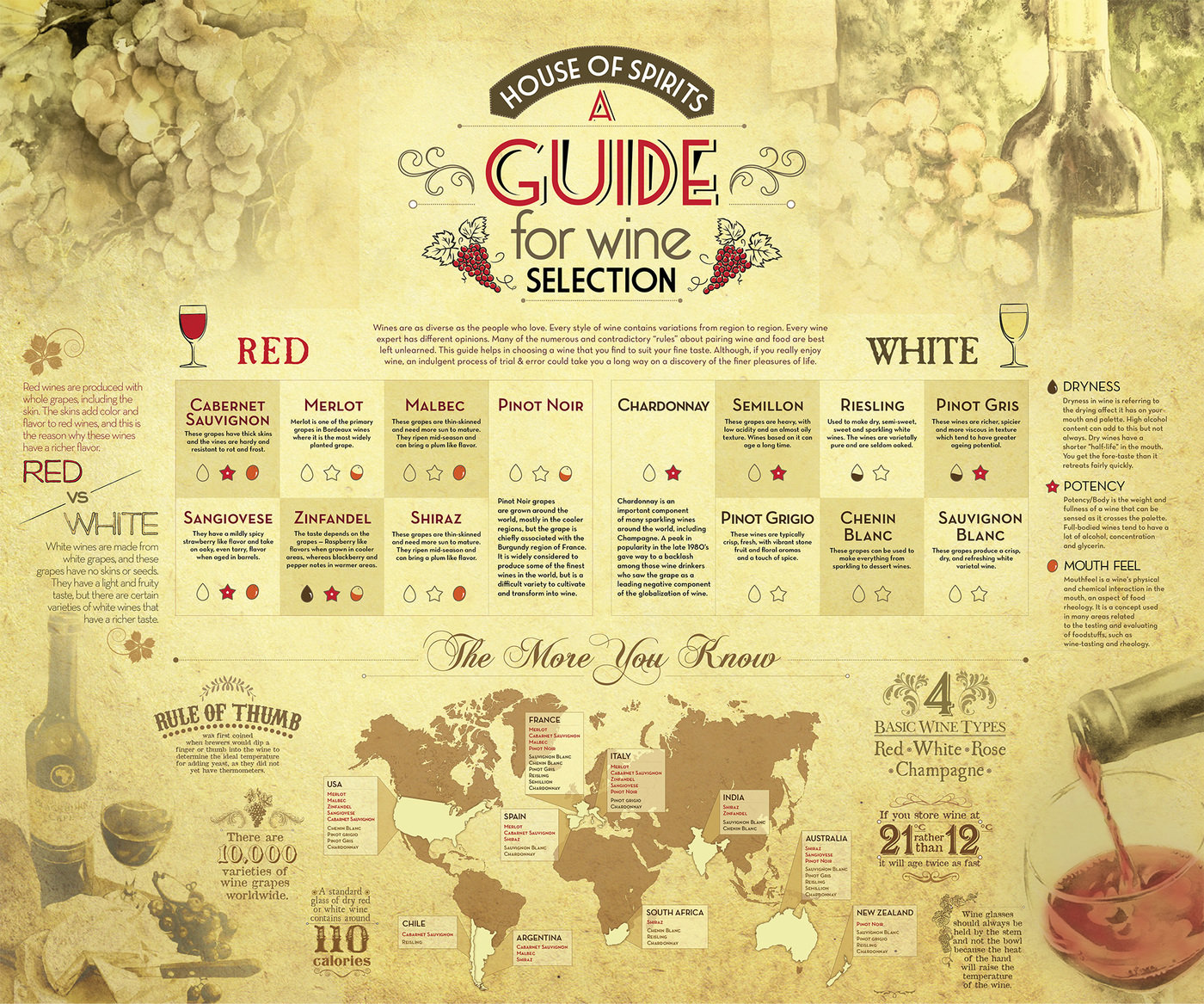 A Guide for Wine Selection (Infographic) by Shubham Bose Roy at ...