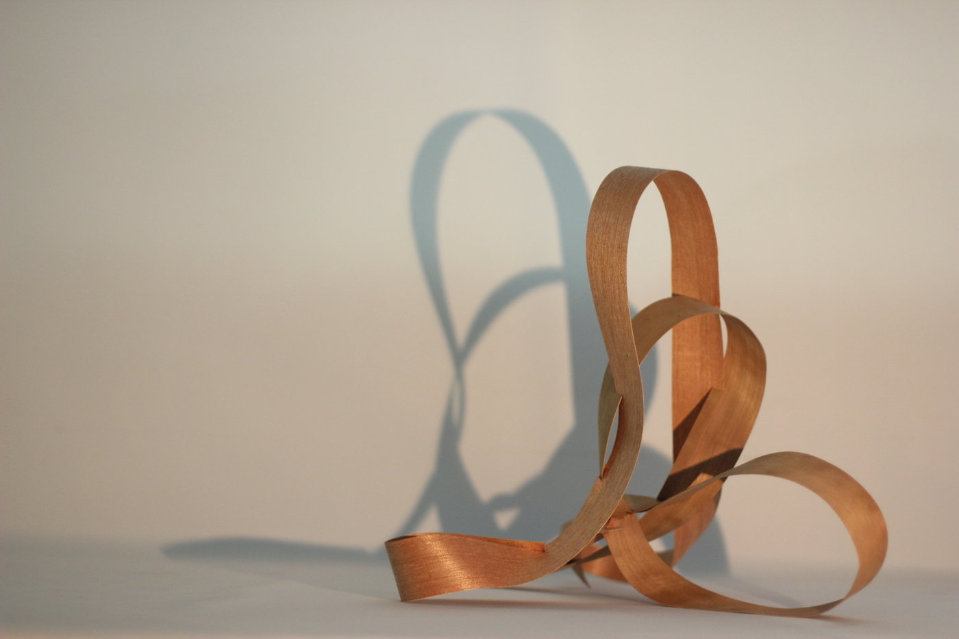 calligraphy sculpture by Elson Tan at Coroflot.com