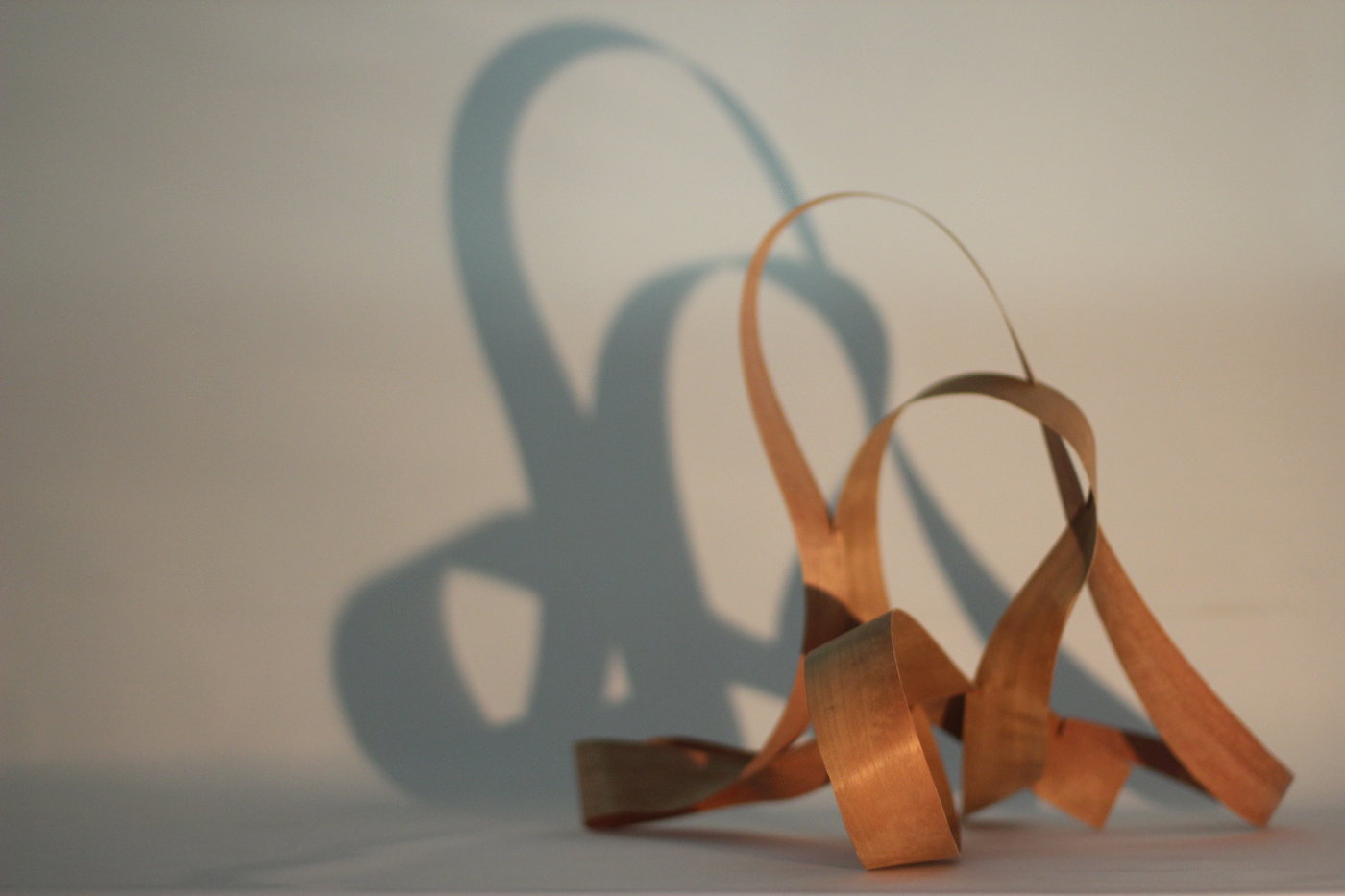 calligraphy sculpture by Elson Tan at Coroflot.com