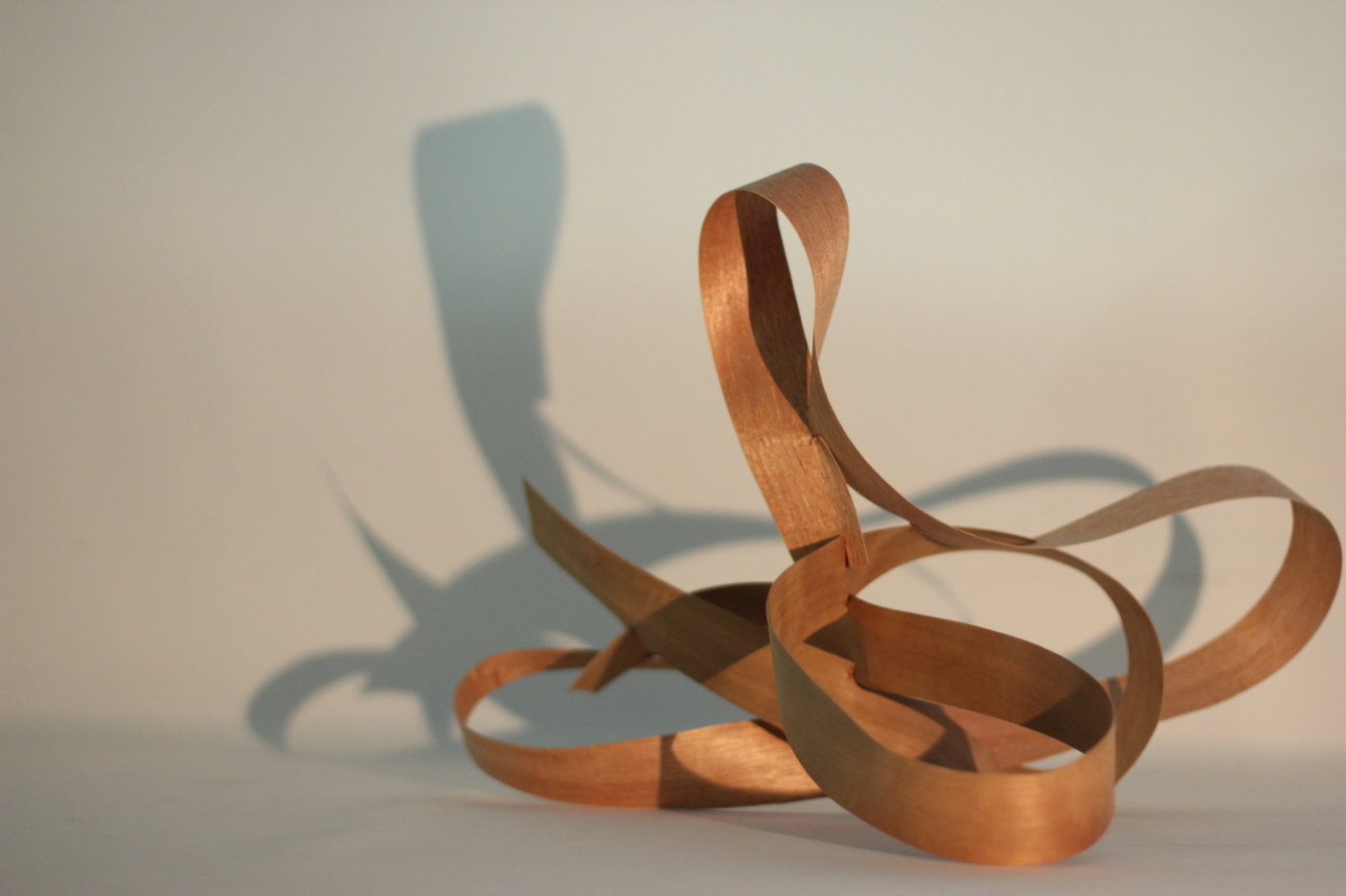 calligraphy sculpture by Elson Tan at Coroflot.com