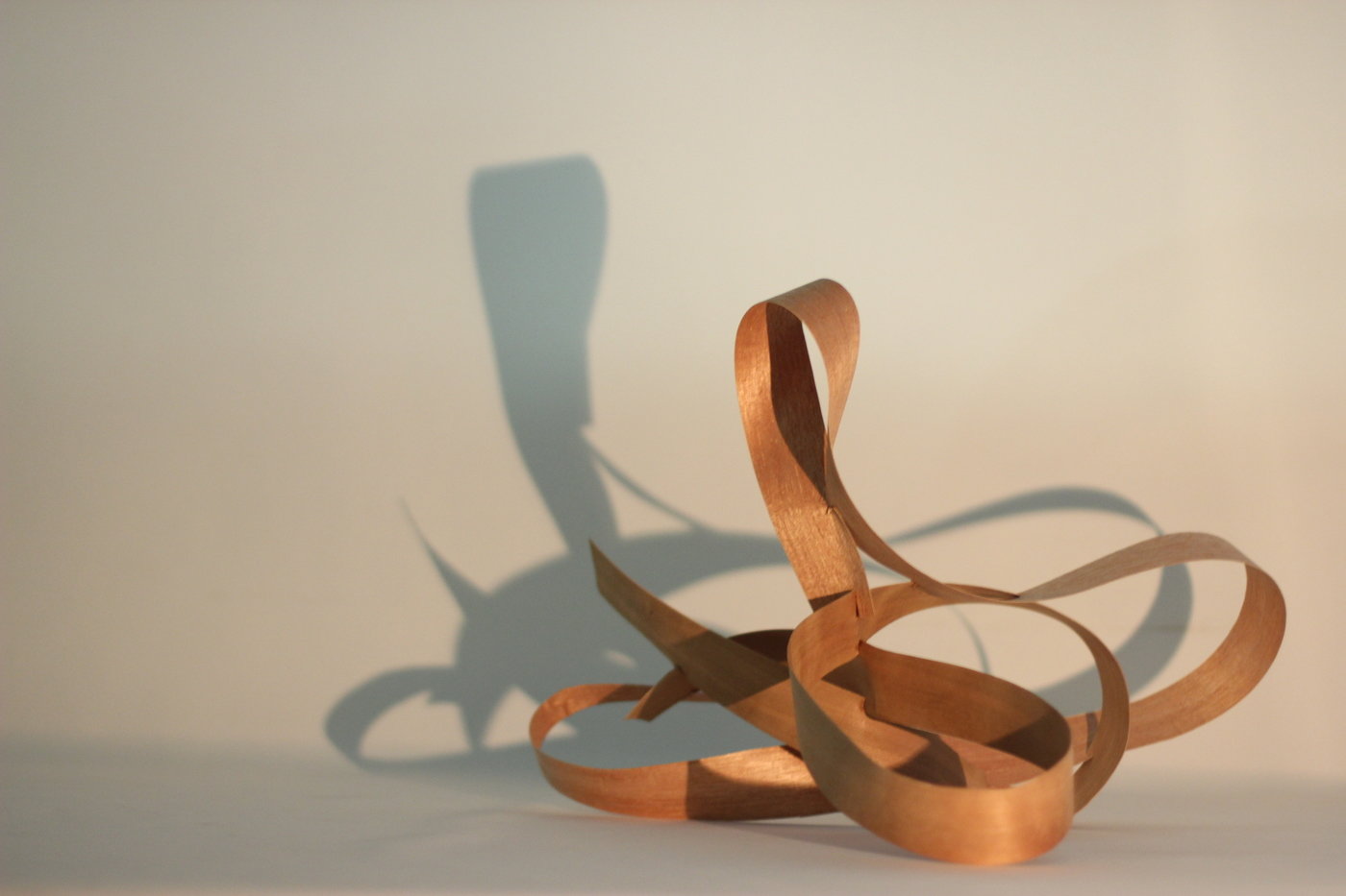 calligraphy sculpture by Elson Tan at Coroflot.com