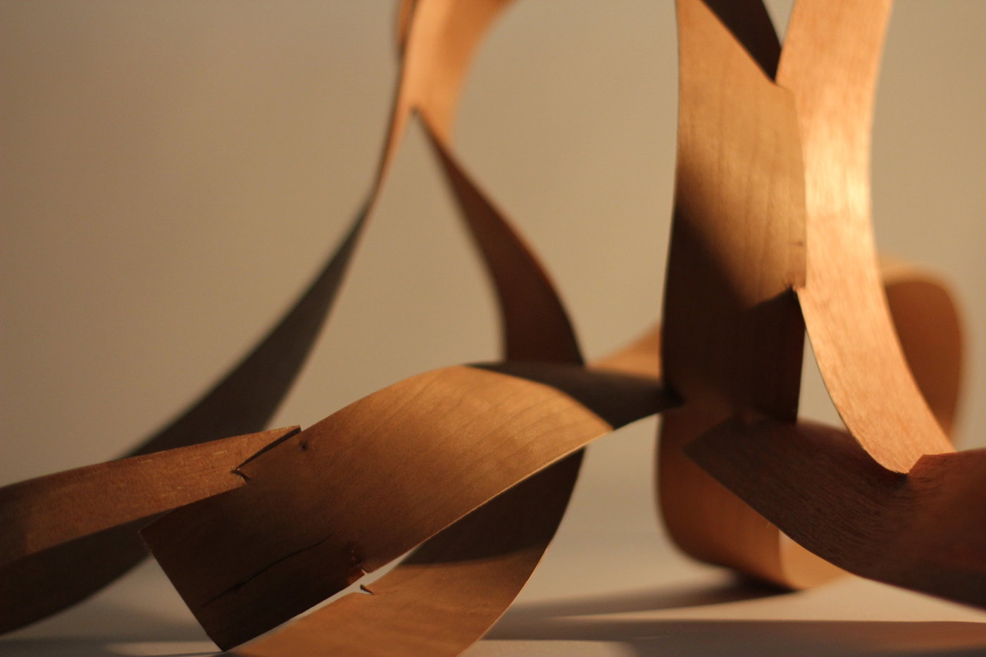 calligraphy sculpture by Elson Tan at Coroflot.com