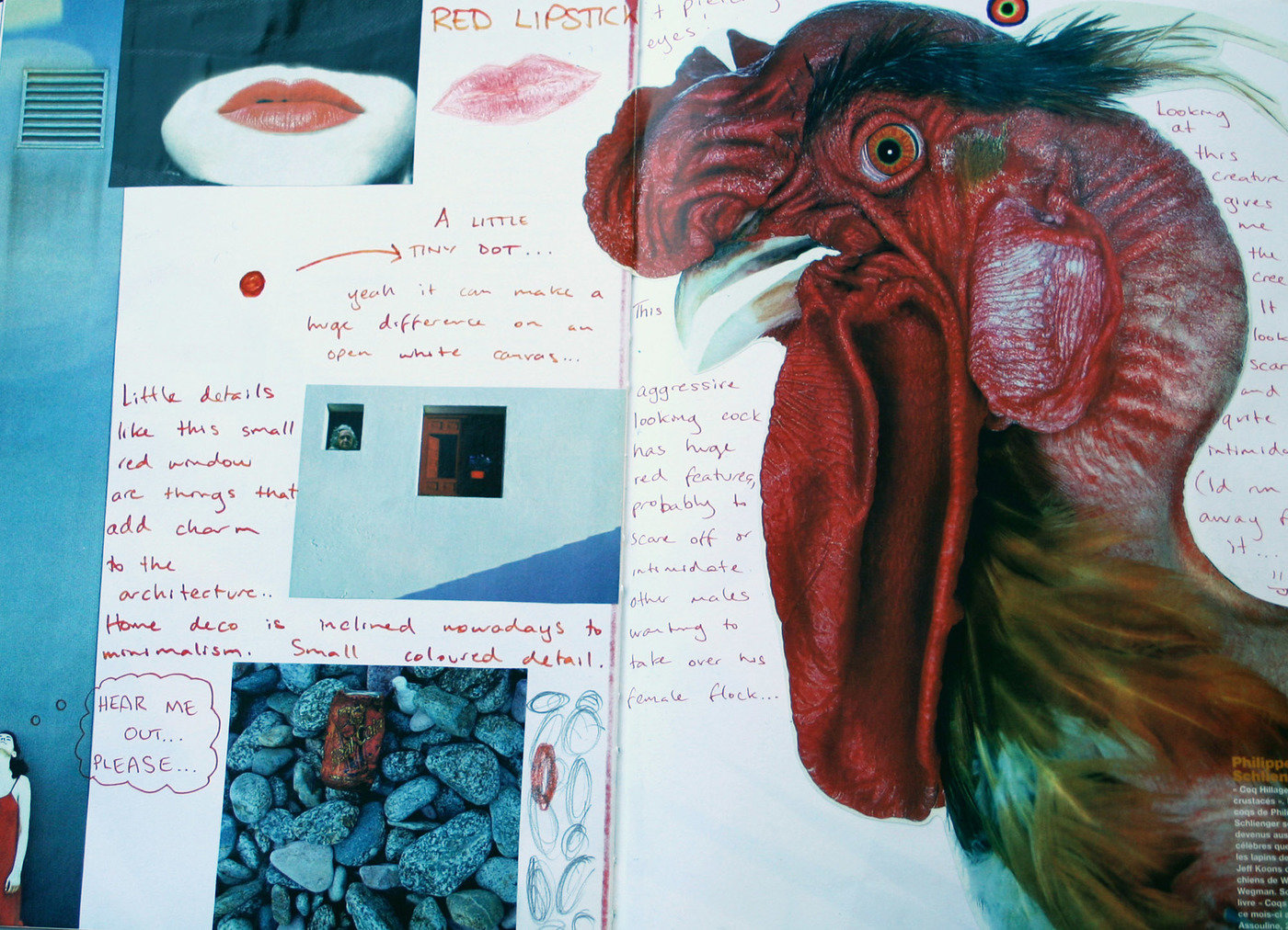 Visual Logbook by Luiza Frederico at Coroflot.com