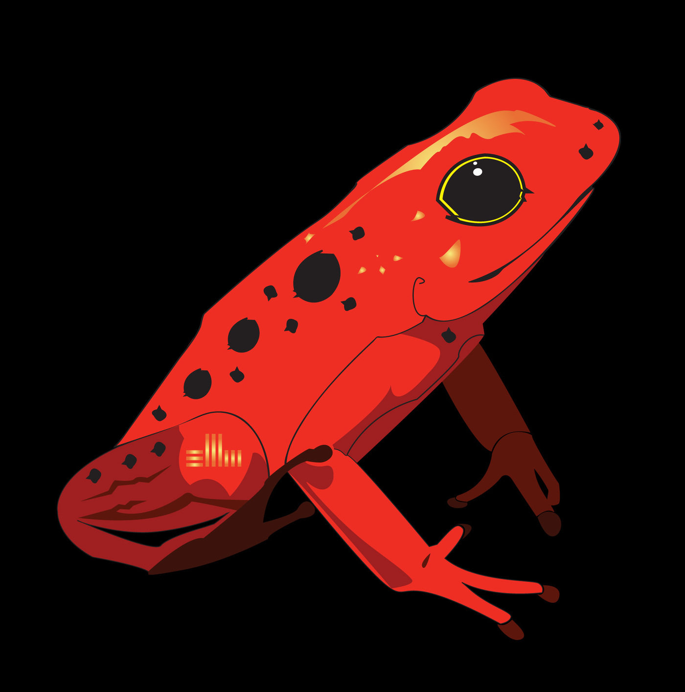 RED FROG Logo by Michael Xylo at Coroflot.com