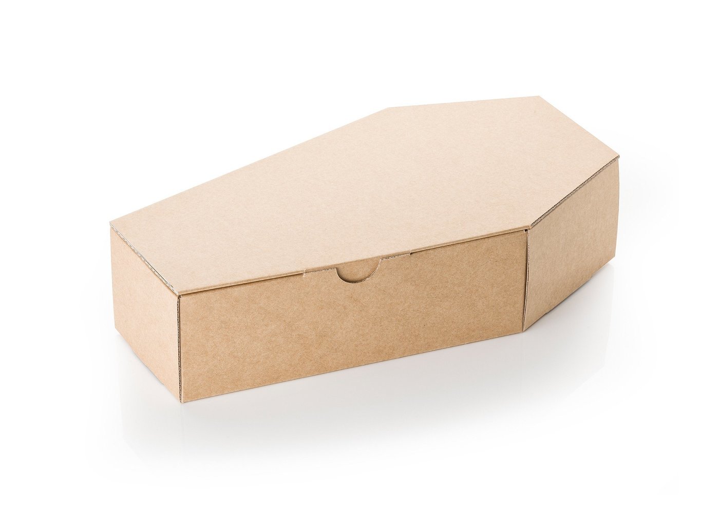 Rest In Pets: Biodegradable cardboard pet caskets by Mat Bogust at ...