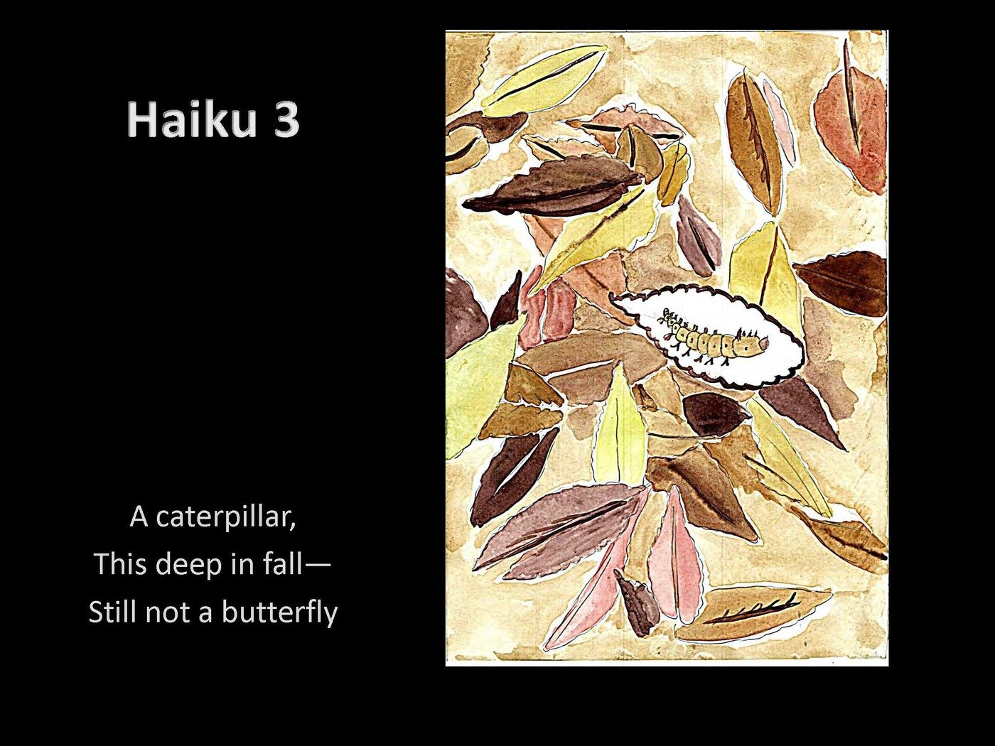 Haiku Illustrations by Meher Sara at Coroflot.com