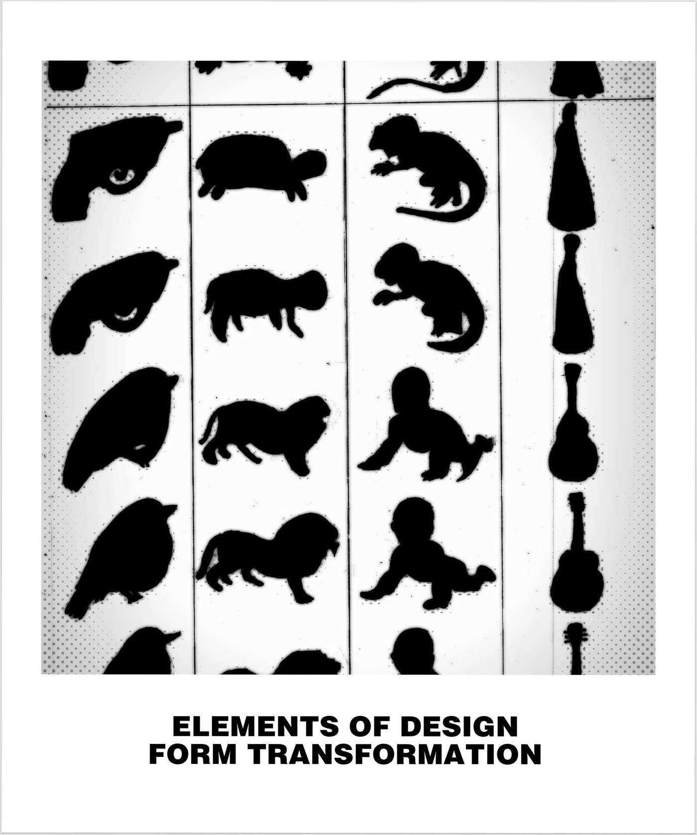 Form Transformations by Meher Sara at Coroflot.com