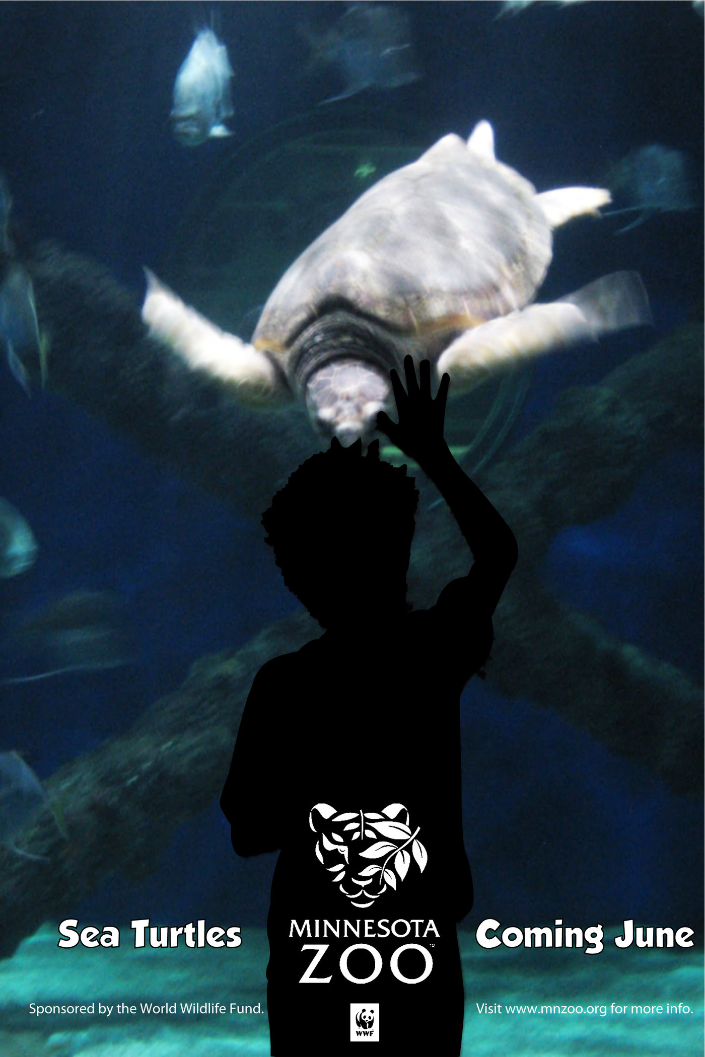 Minnesota Zoo Sea Turtles Exhibit by Jake Anderson at Coroflot.com