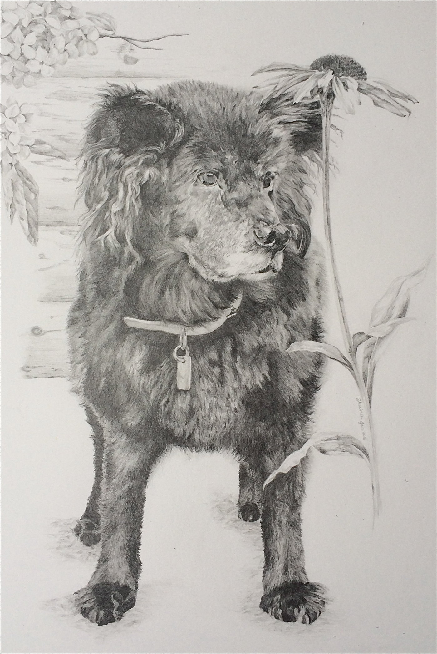 Georgie by Shaina Thomas at Coroflot.com