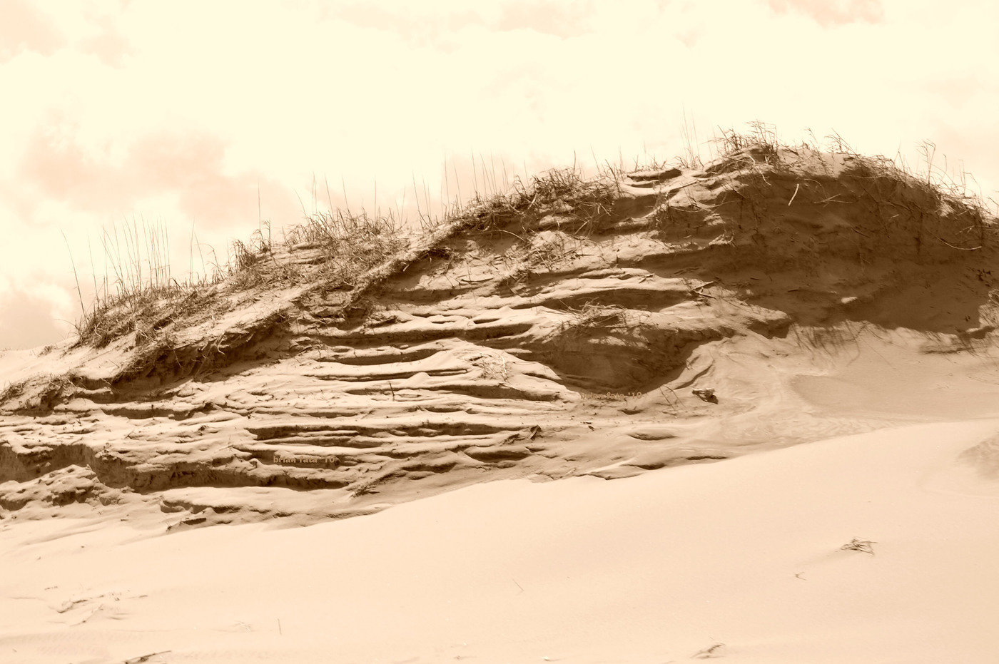 photographs-high school 2 college by Brian Fata at Coroflot.com