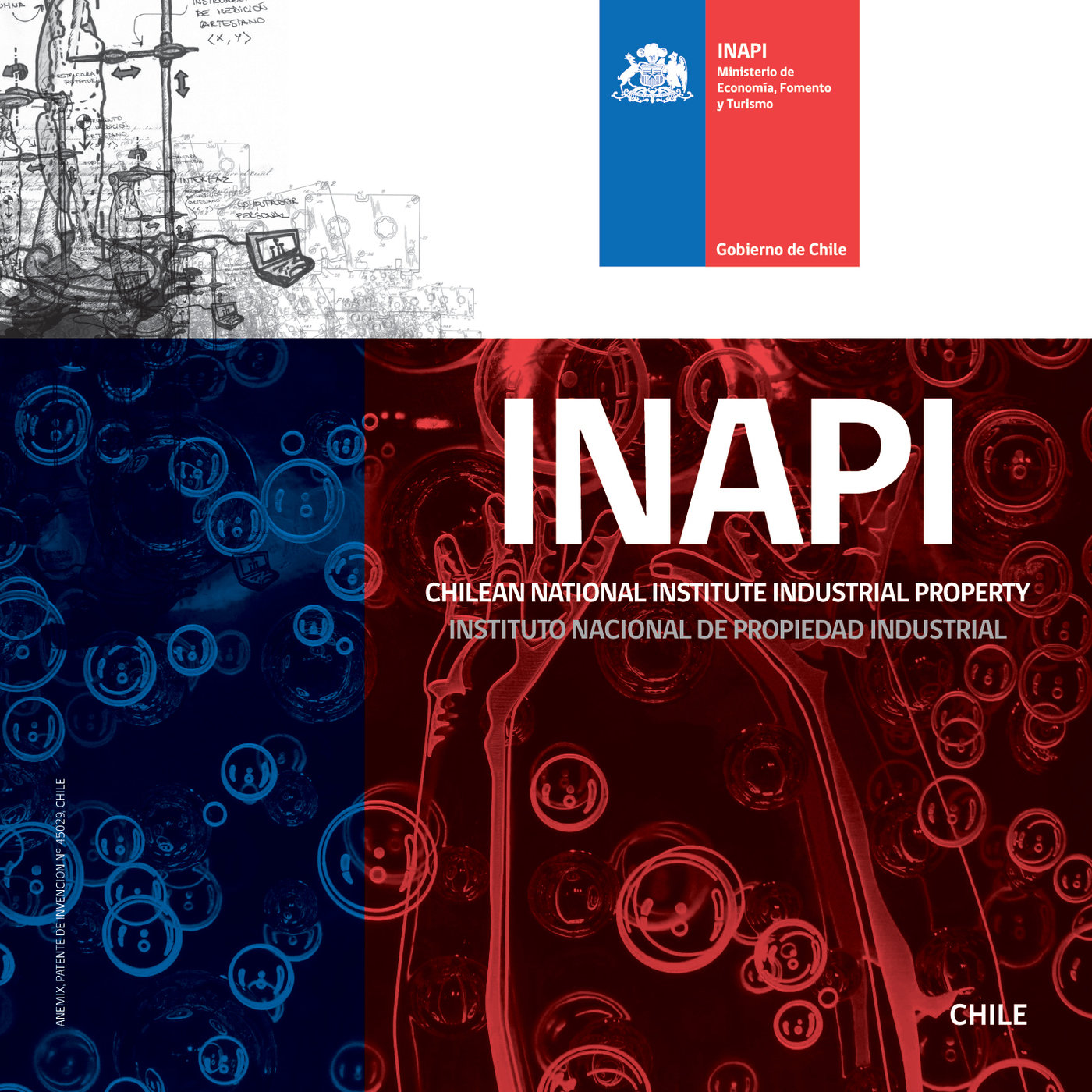 Inapi - Gobierno de Chile by RALD Publicidad & Tecnología at Coroflot.com