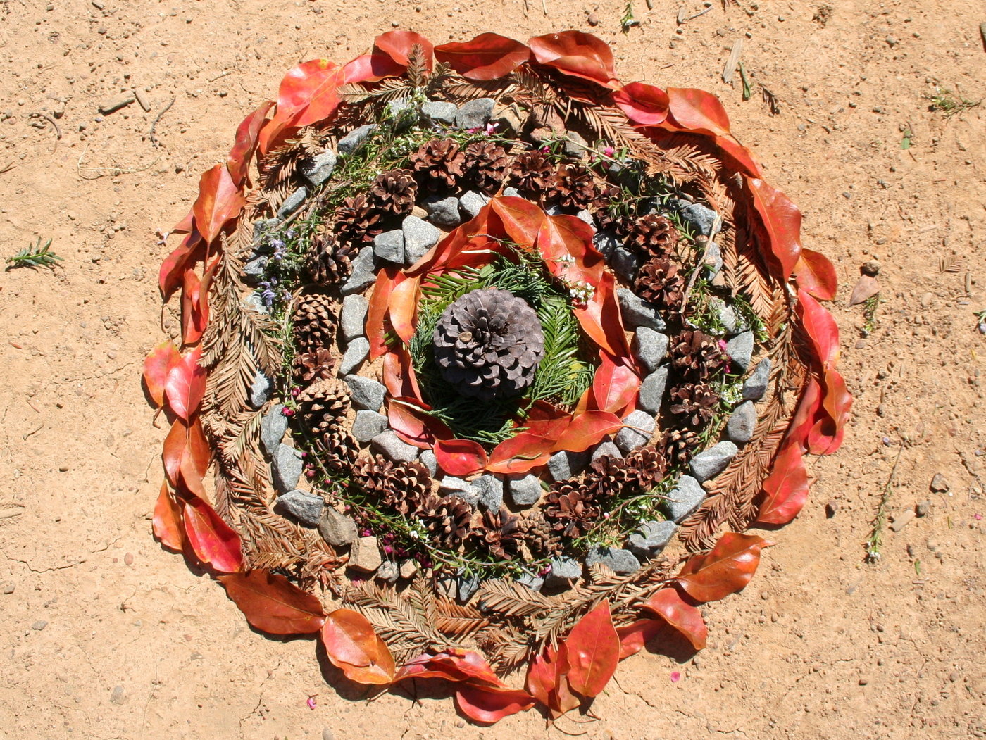Environmental Art + Notecard Design 2 by Colleen Proppé at Coroflot.com