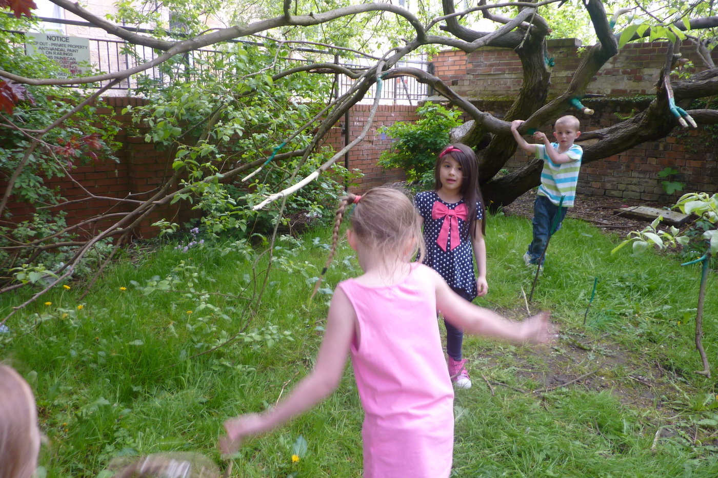 An upload by Eloise Smith-Foster on Coroflot: to the project GSA ...