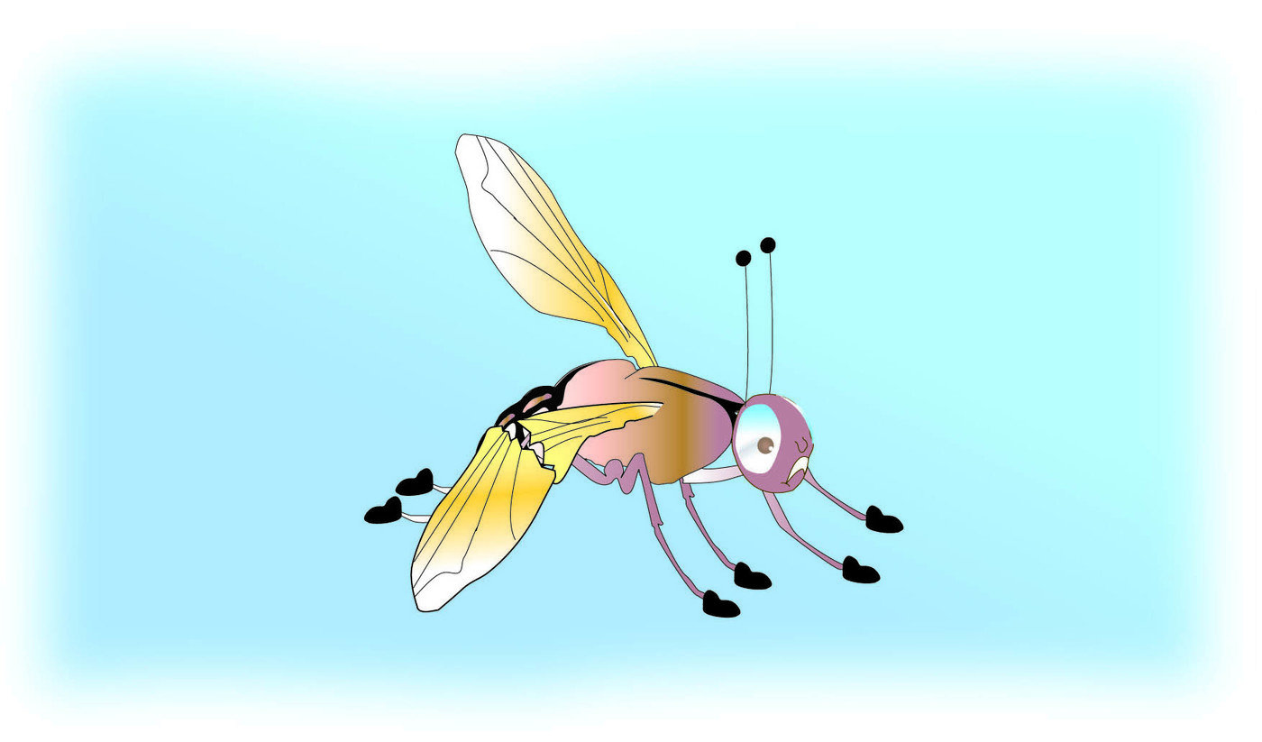 The Fly & Hippo by Essex James at Coroflot.com