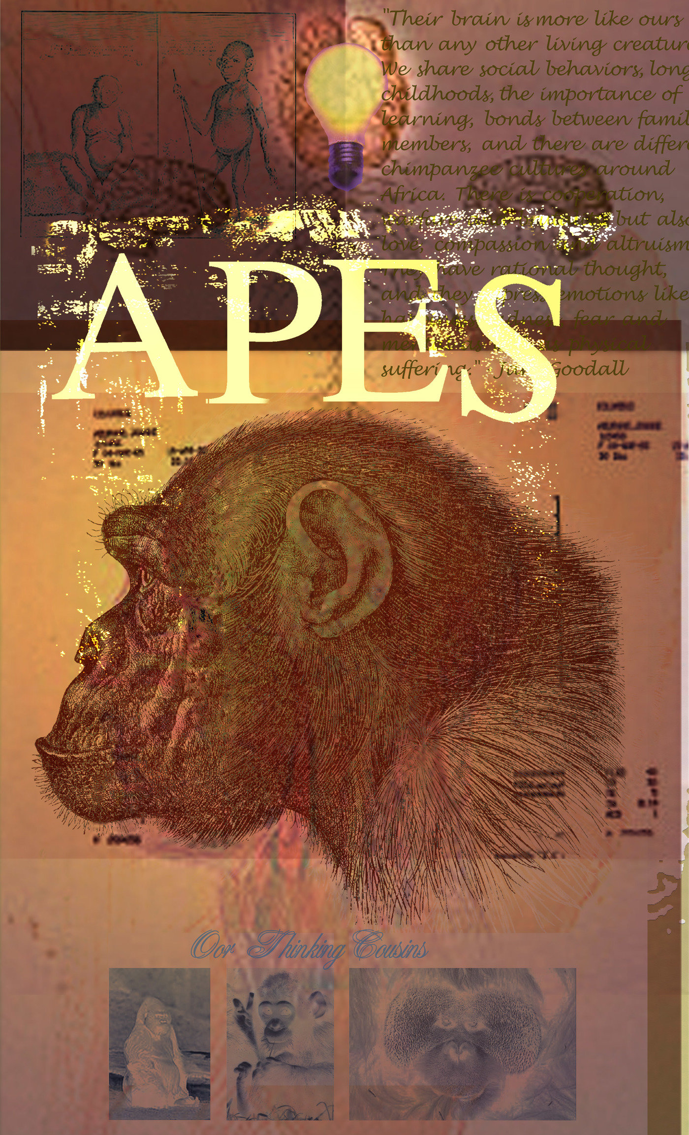 Computer Illustration by Dylan Berner at Coroflot.com