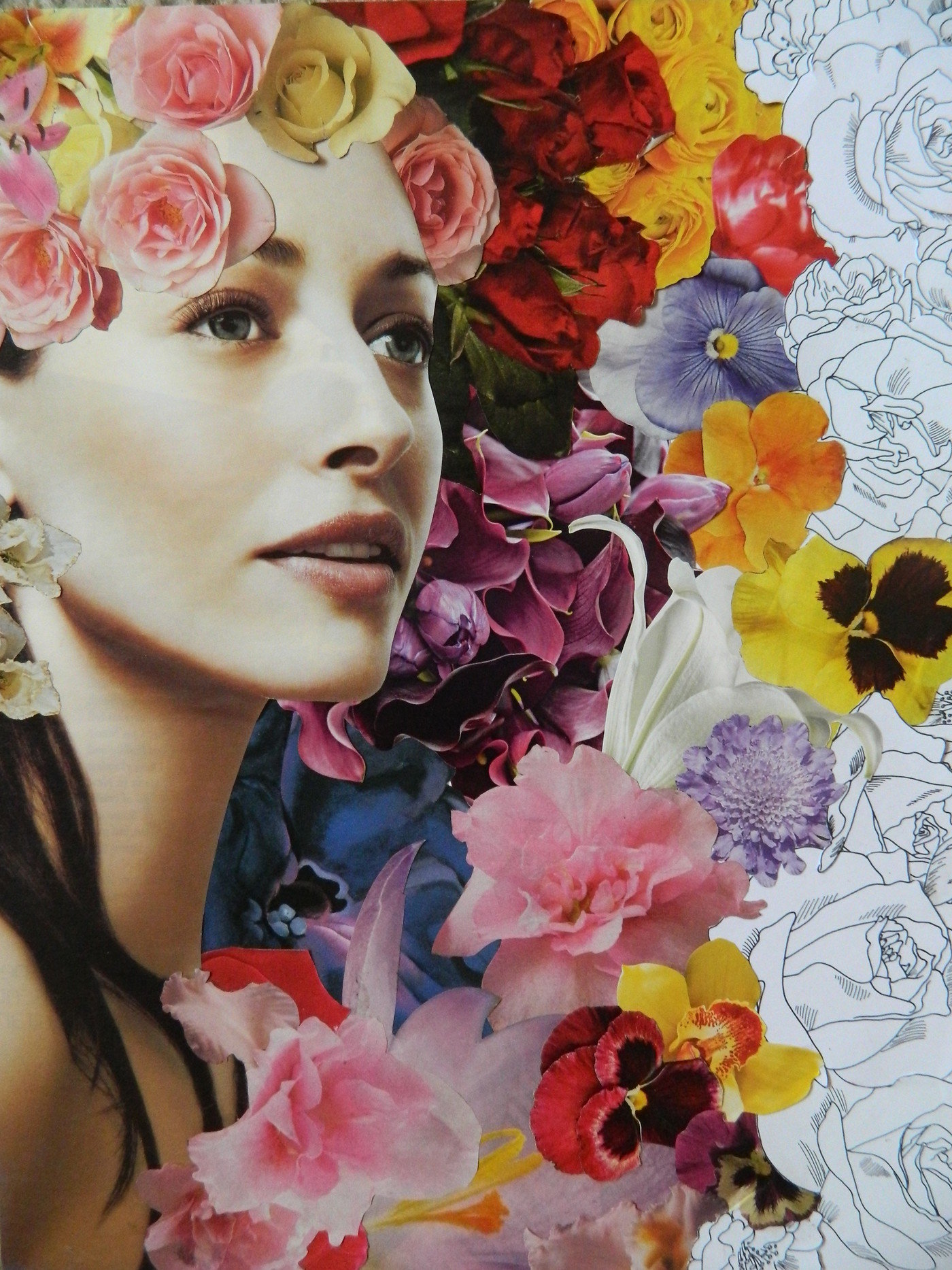 Multi Media Collages by Emily Royston at Coroflot.com