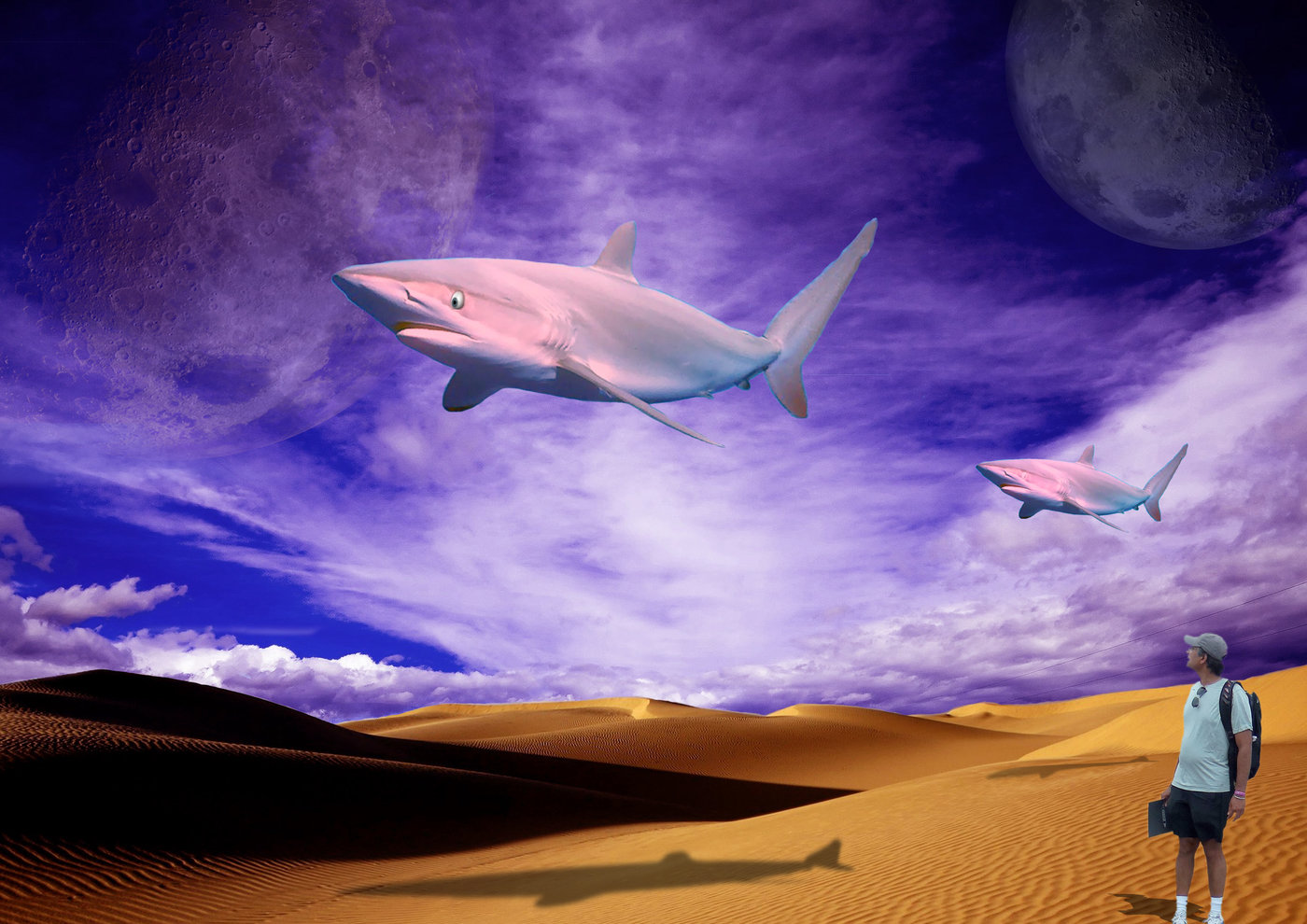 Surrealism Images: FISH by Nicholas Chan at Coroflot.com