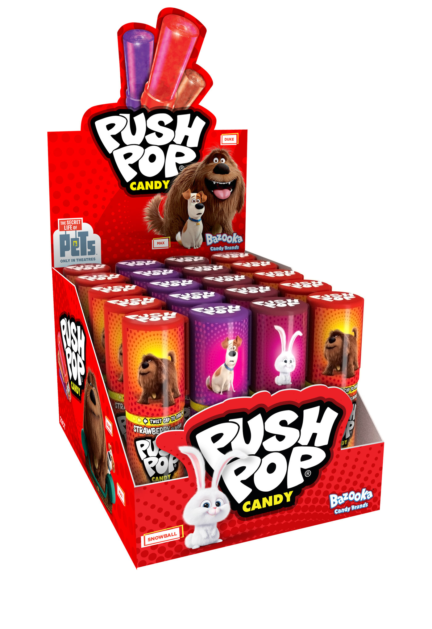 Packaging: The Secret Life Of Pets X Push Pop by M. Kane at Coroflot.com