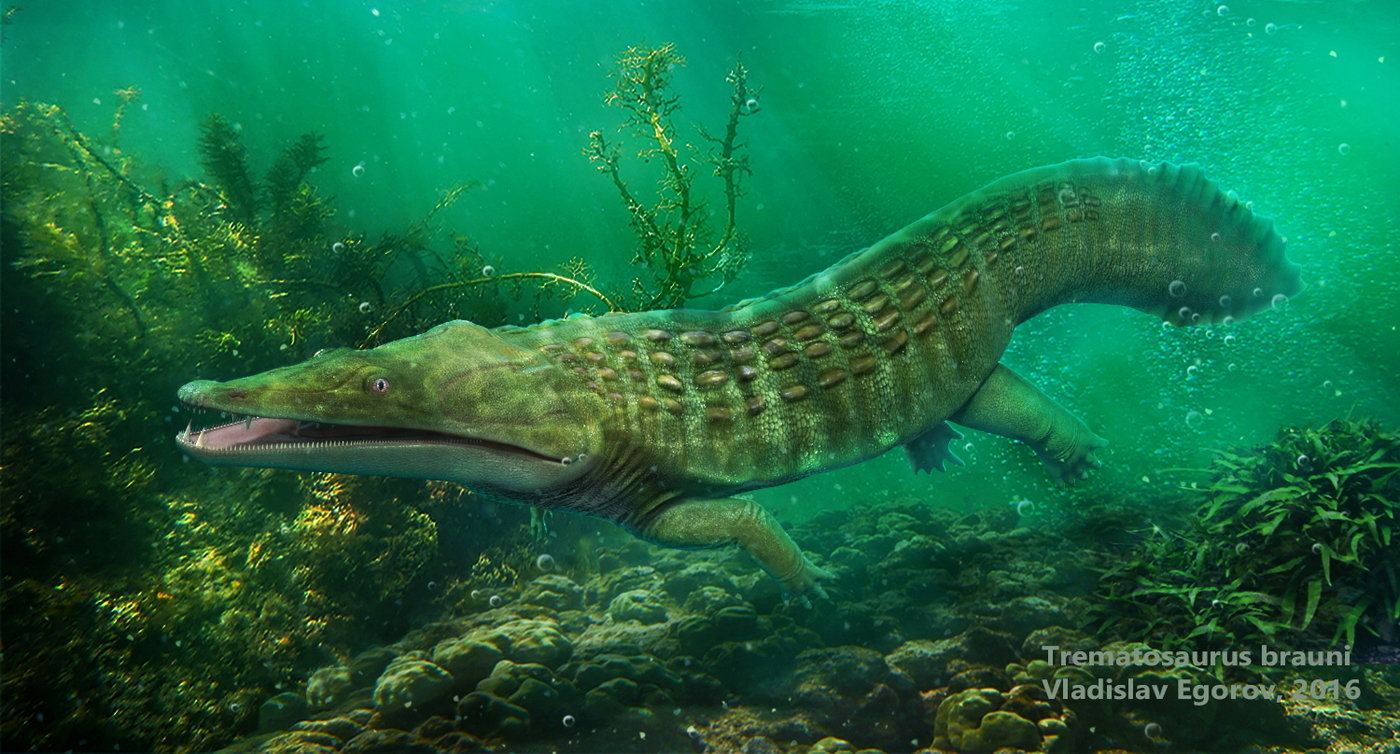 Trematosaurus brauni by Vladislav Egorov at Coroflot.com