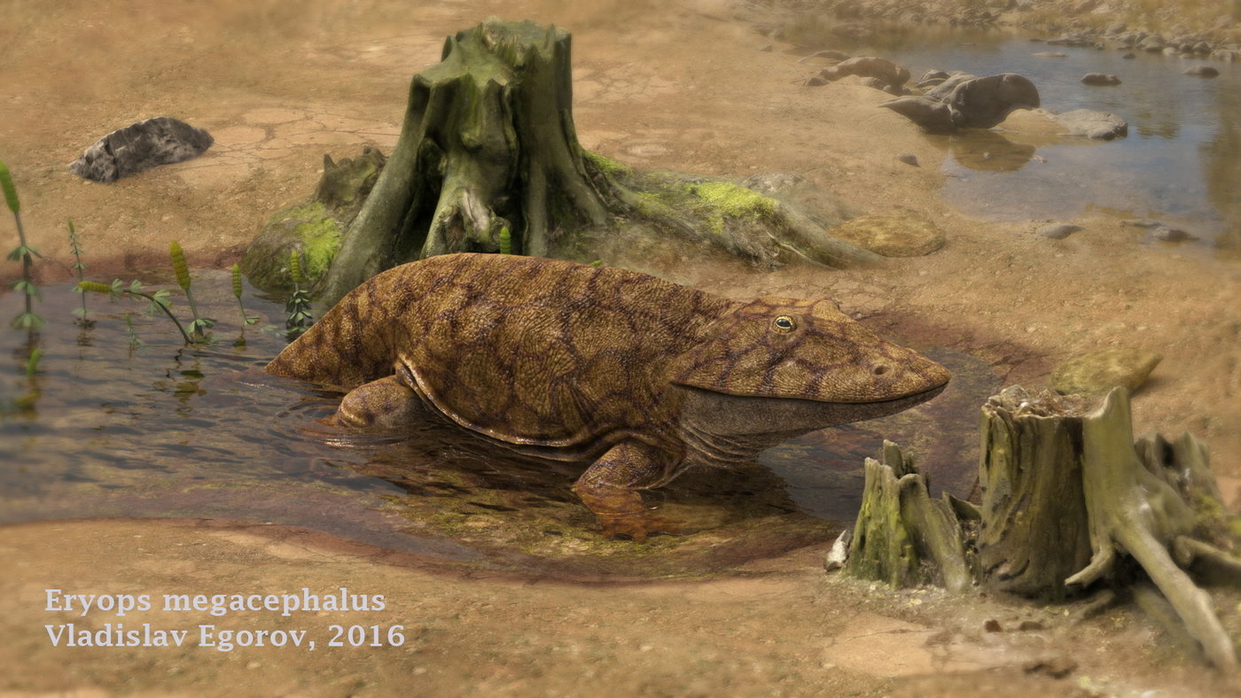 Eryops megacephalus by Vladislav Egorov at Coroflot.com