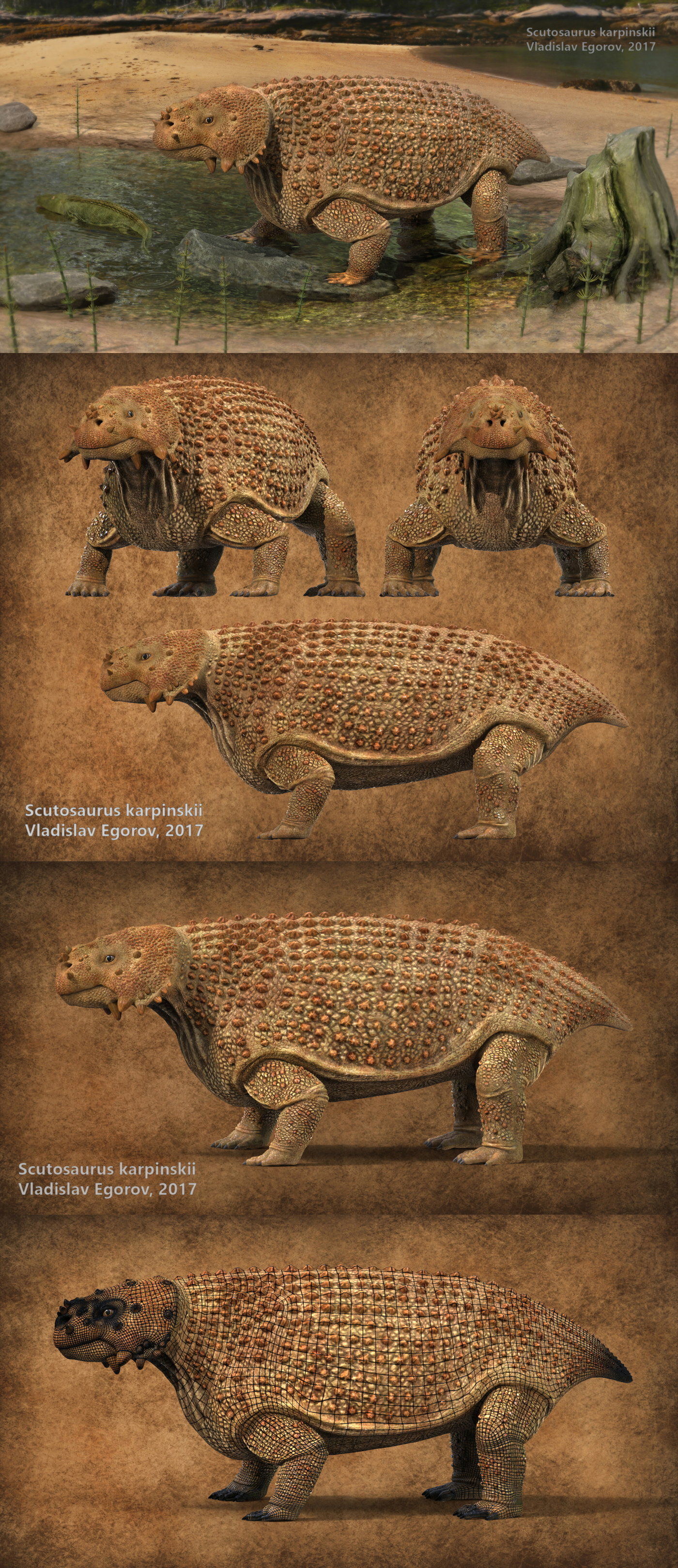 Scutosaurus karpinskii by Vladislav Egorov at Coroflot.com