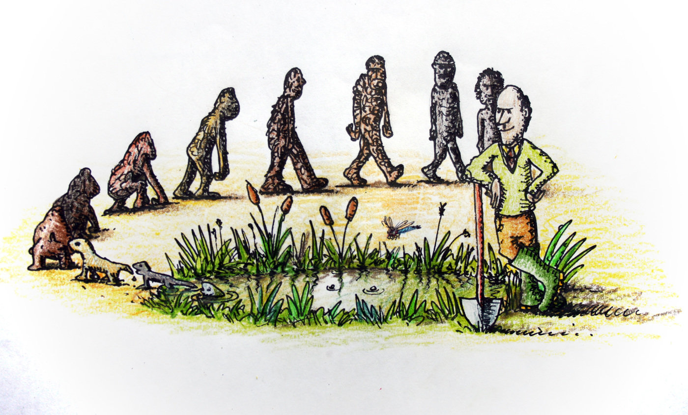 Eco Drawing by Tim Siddall at Coroflot.com