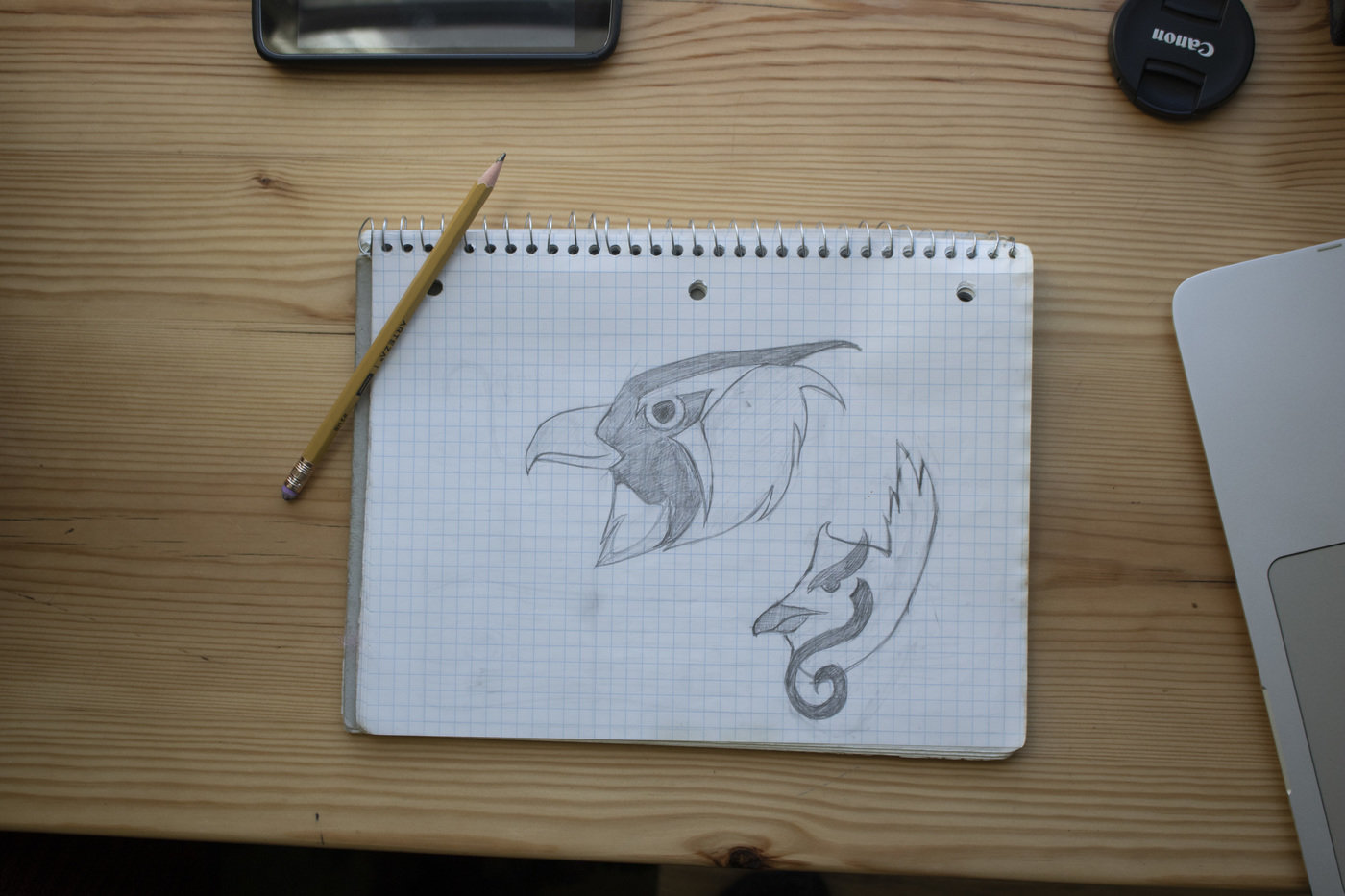 University of Wisconsin-Eau Claire Mascot Logo by Joshua Thorson at ...
