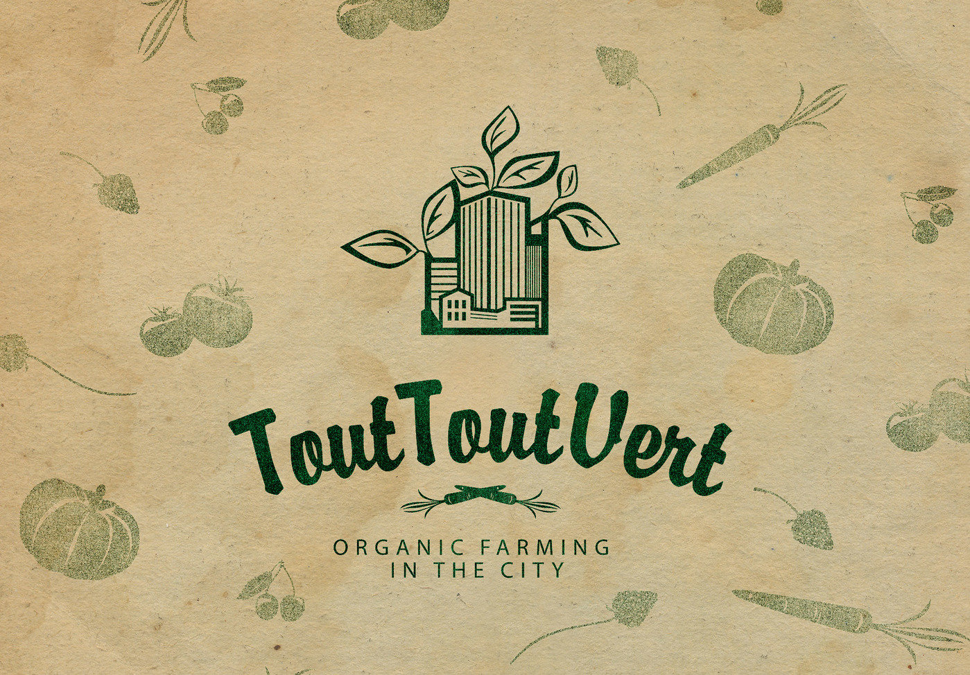 TOUT TOUT VERT brand identity by Bright Cube at Coroflot.com