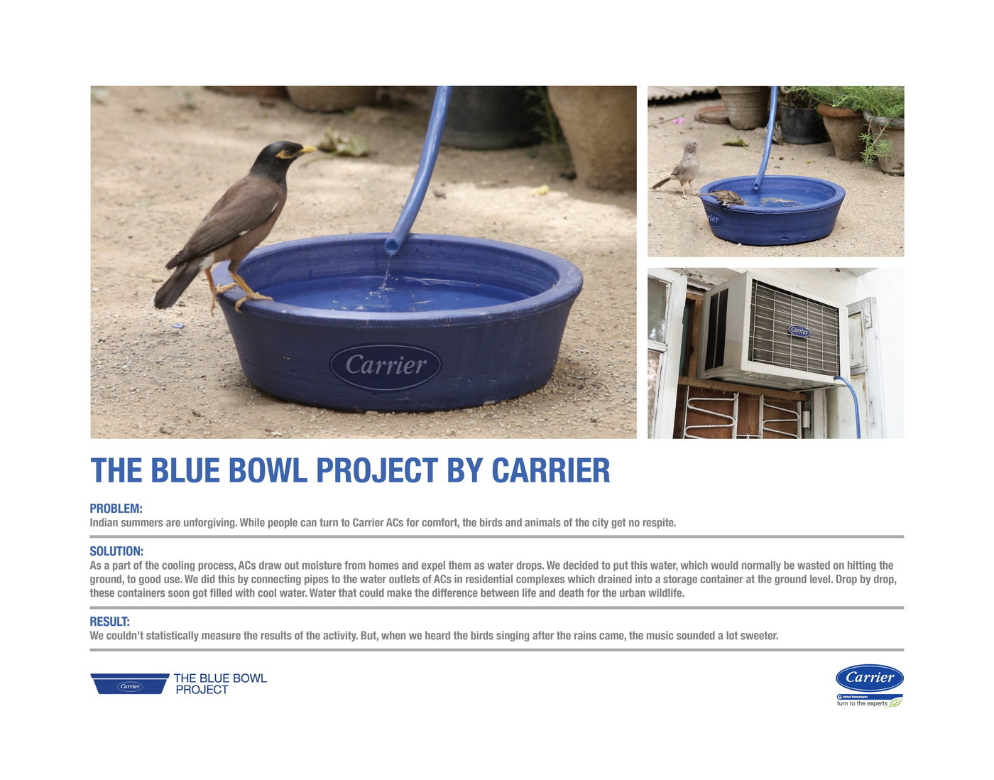 DDB Mudra- Carrier- Abbys - Silver by sagar gyaan at Coroflot.com