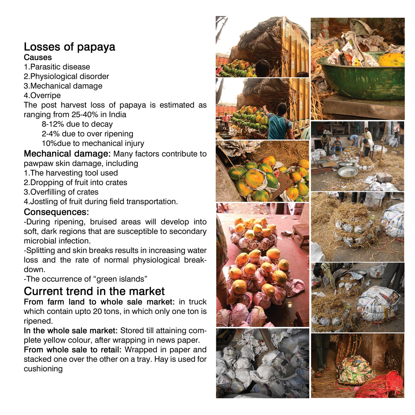 papaya packaging by Rizma P at Coroflot.com