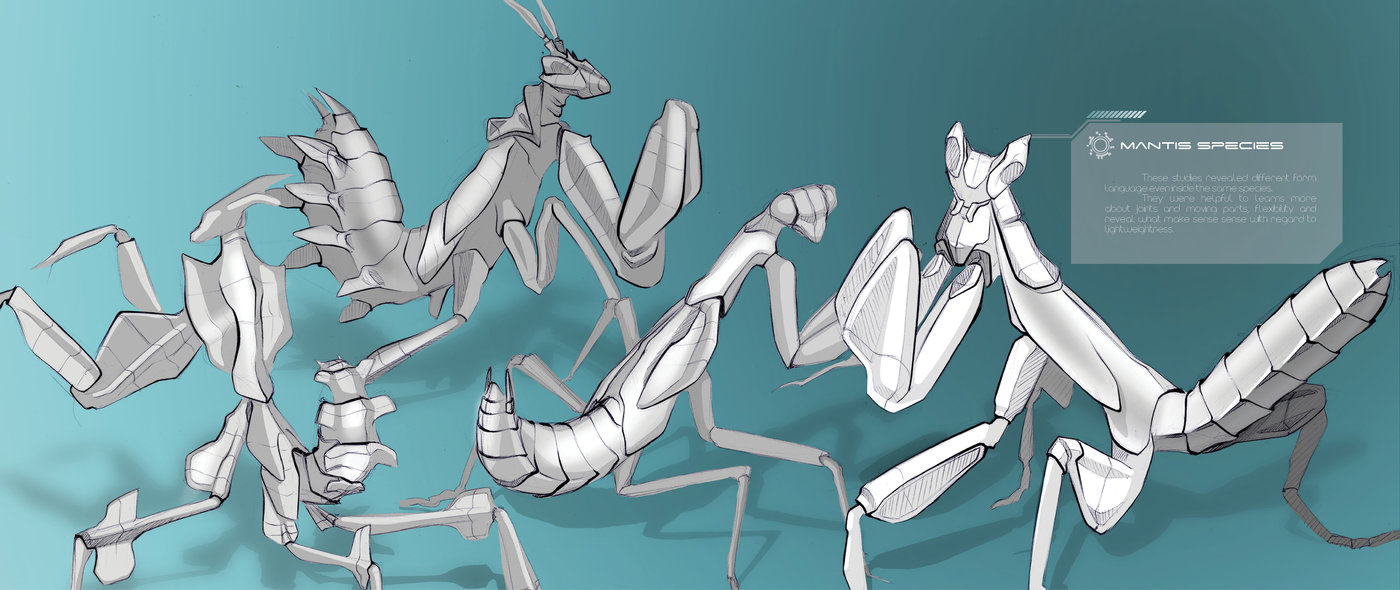 Form studies/Lotus Firefly by Alexandra Ciobanu at Coroflot.com