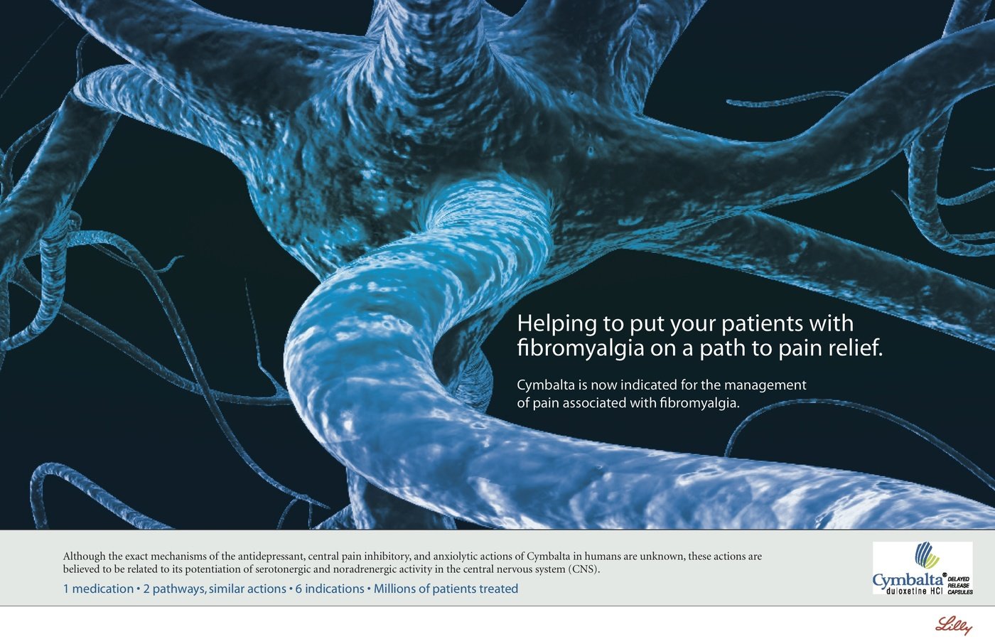 New pathway for fibromyalgia pain relief by KRIS McGLOSSON at Coroflot.com