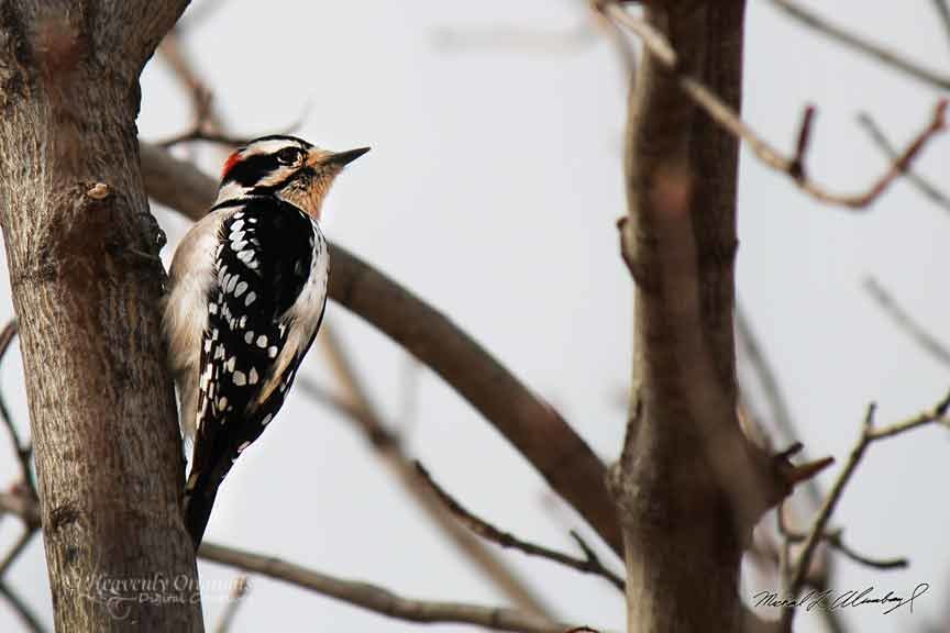 Photography by Michael Alumbaugh at Coroflot.com