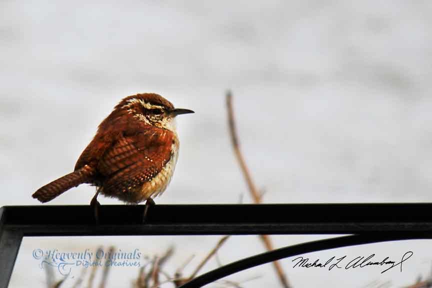 Photography by Michael Alumbaugh at Coroflot.com