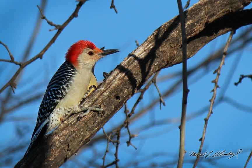 Photography by Michael Alumbaugh at Coroflot.com