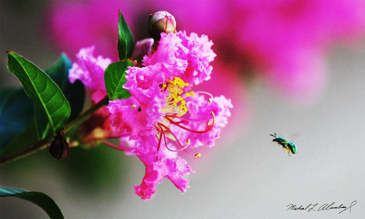 Photography by Michael Alumbaugh at Coroflot.com