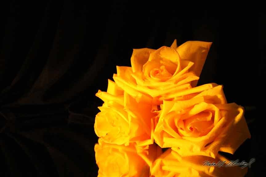 Photography by Michael Alumbaugh at Coroflot.com