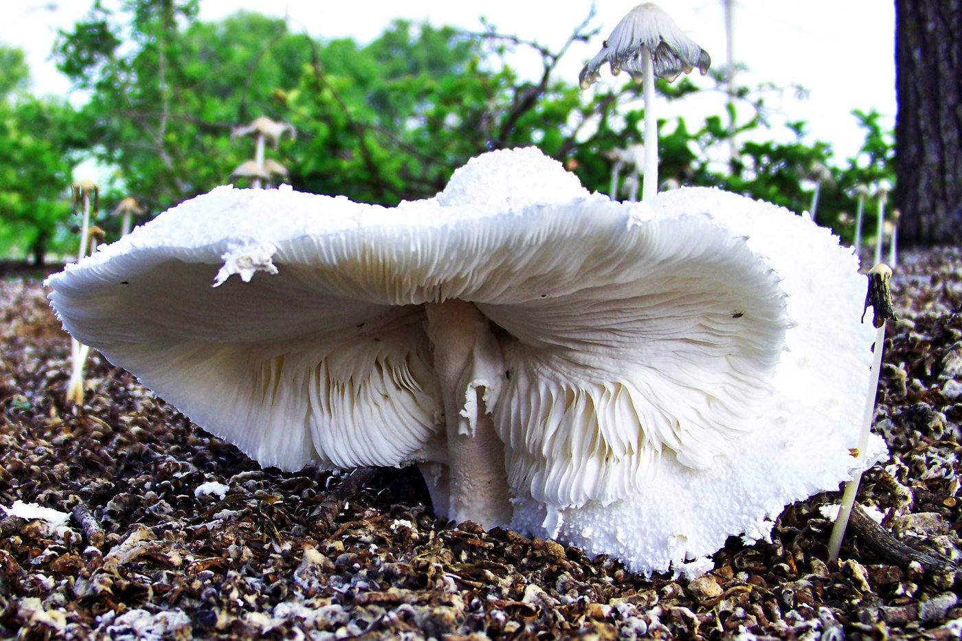 Photography by Michael Alumbaugh at Coroflot.com