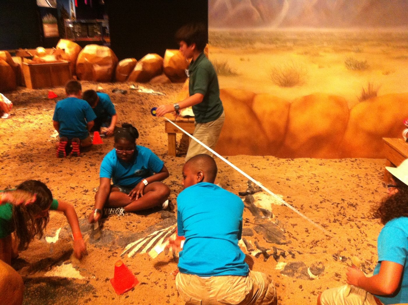 Dino Digs Dig Pit by Andrea Hart at Coroflot.com