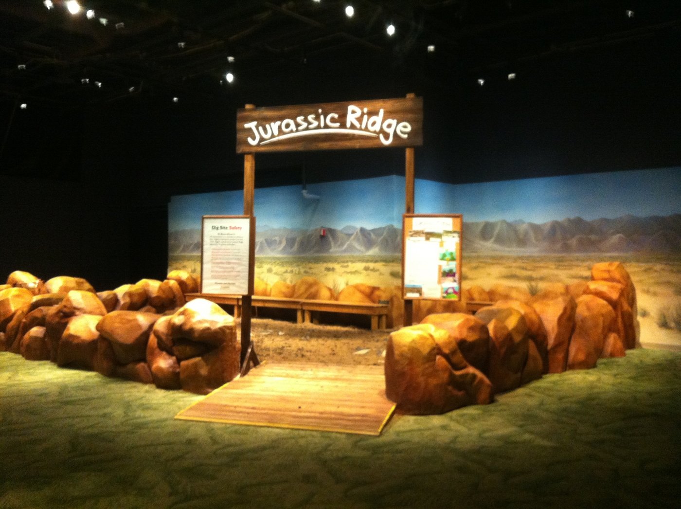 Dino Digs Dig Pit by Andrea Hart at Coroflot.com