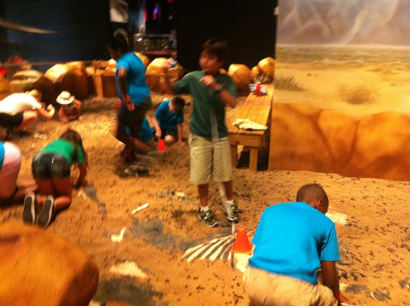 Dino Digs Dig Pit by Andrea Hart at Coroflot.com