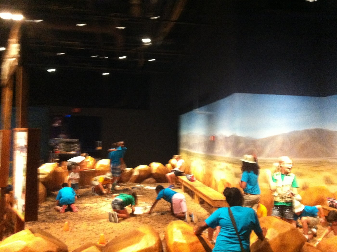 Dino Digs Dig Pit by Andrea Hart at Coroflot.com