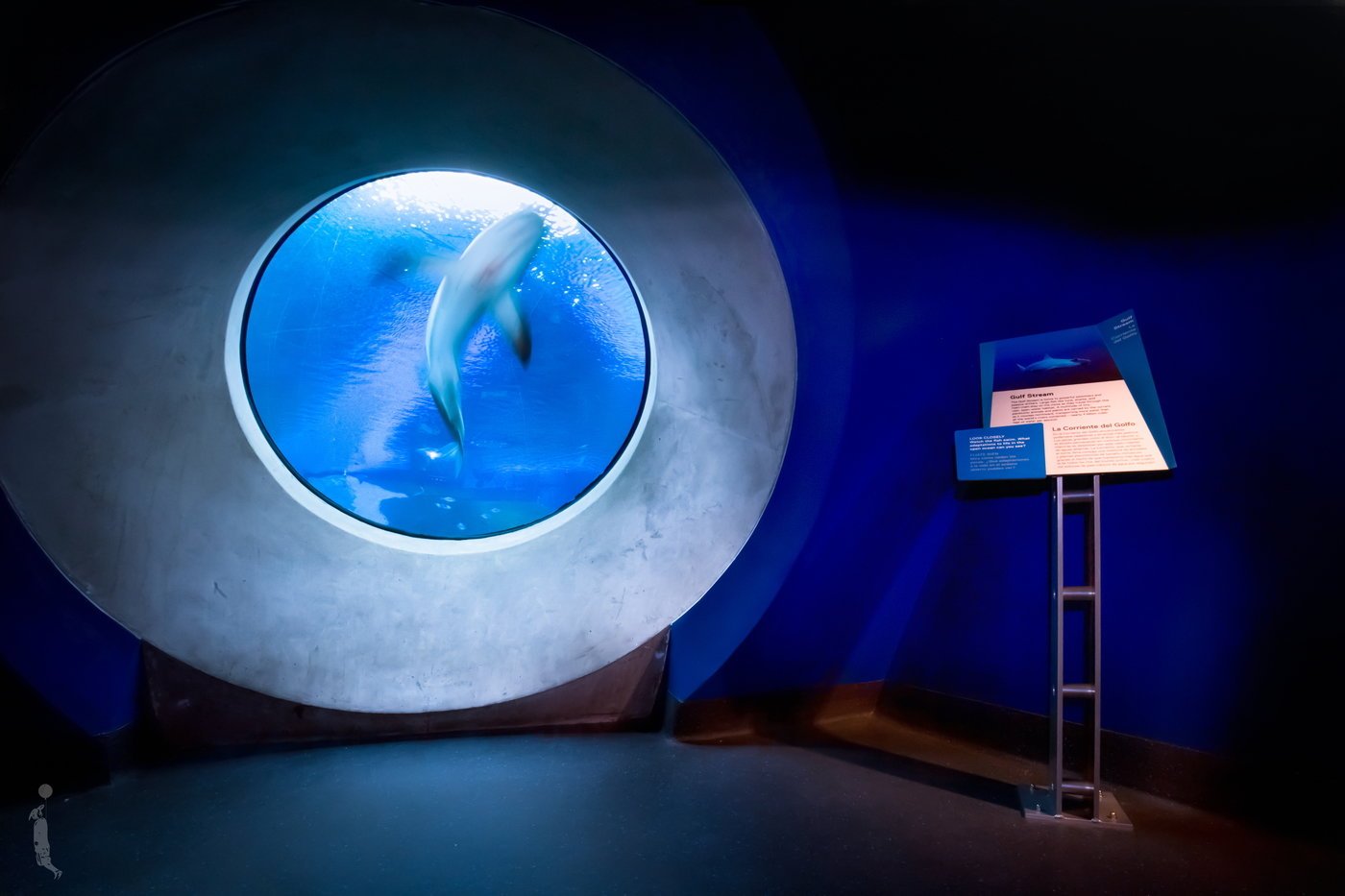 Living Core Aquarium by Andrea Hart at Coroflot.com