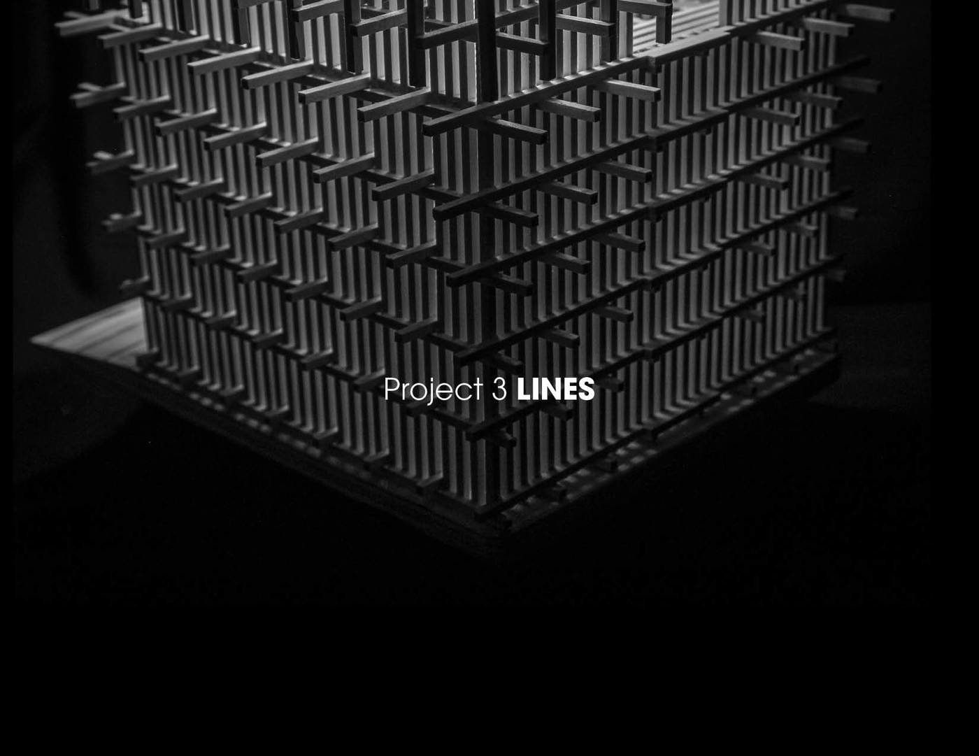 Year 1 Spring Project 3: Lines by Adam Choi at Coroflot.com