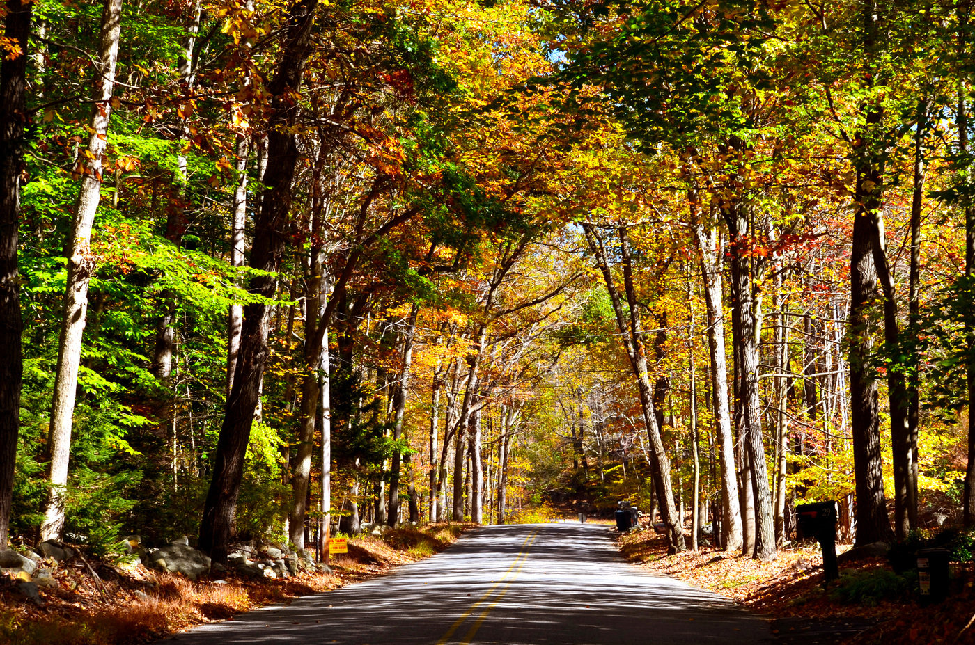 An upload by Rachel Rippey on Coroflot: to the project seasons