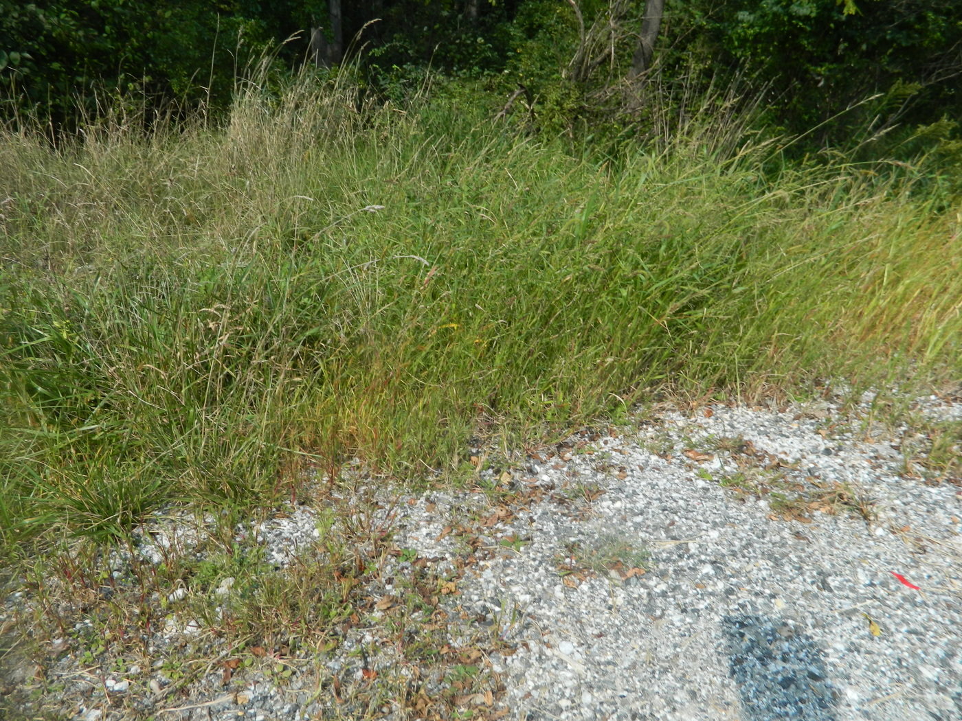 Baseline by Liam Rowan at Coroflot.com