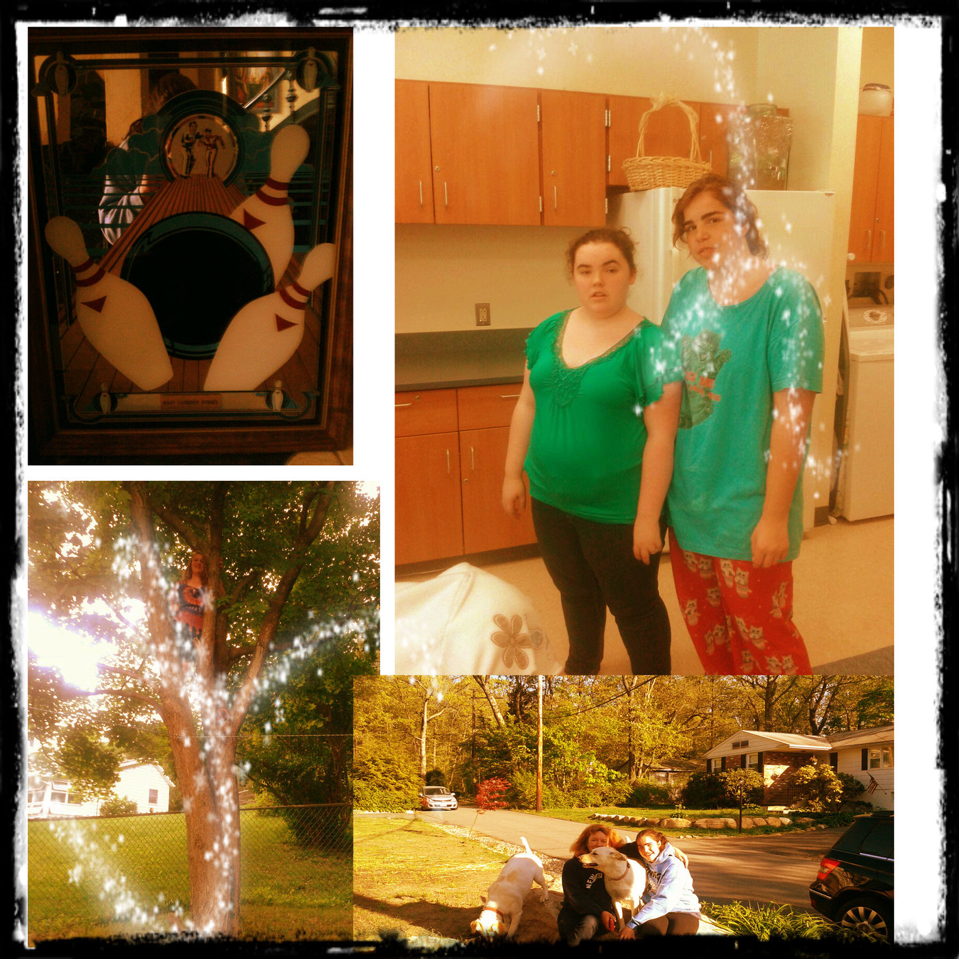 Cell Art Collage by Mary Byrnes at Coroflot.com