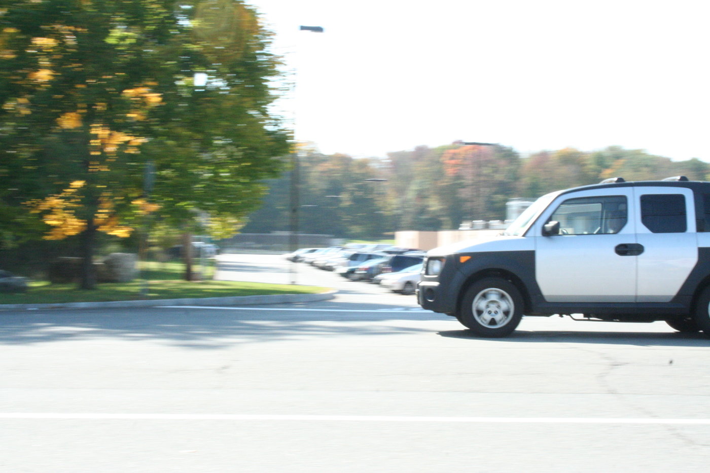 The Principles by Amanda Scully at Coroflot.com