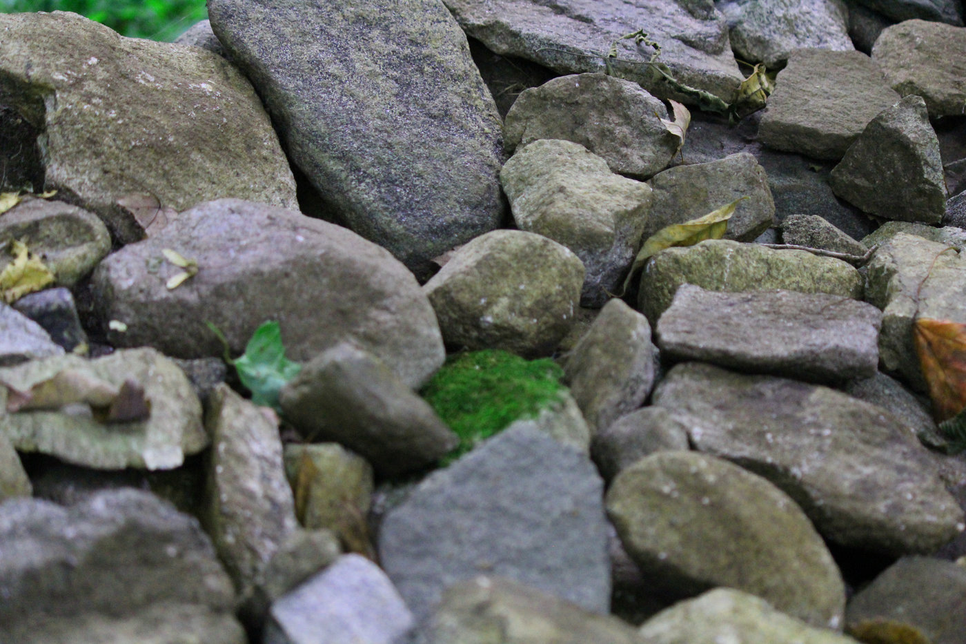 Principles of design by chris cioffi at Coroflot.com