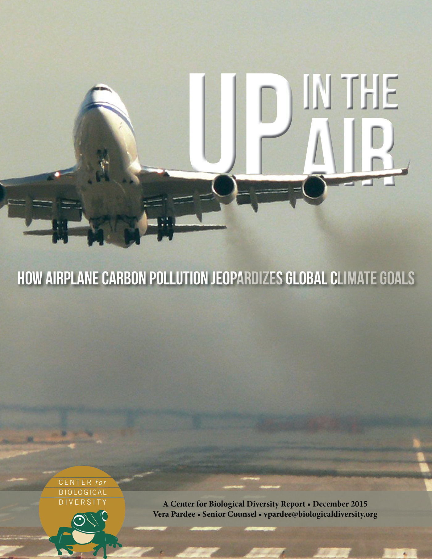Up In The Air: how Airplane Carbon Pollution Jeopardizes Global Climate ...
